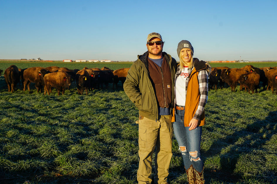 BLB in the Media – Benjamin Lee Bison