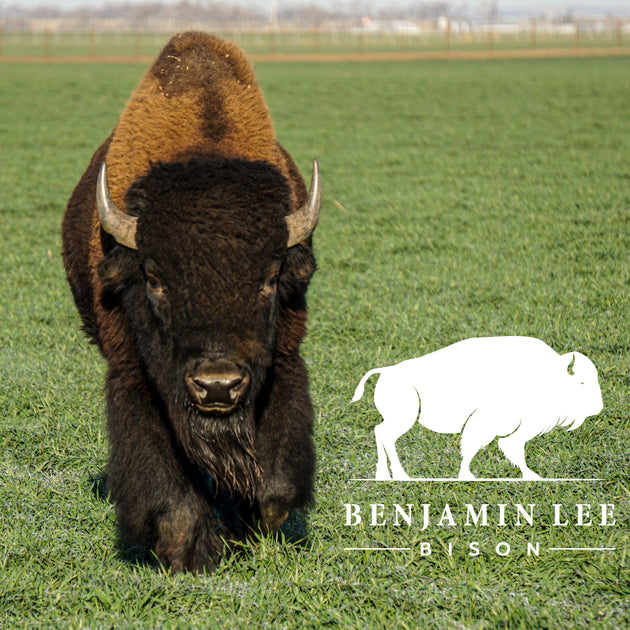 2021 At A Glance – Benjamin Lee Bison