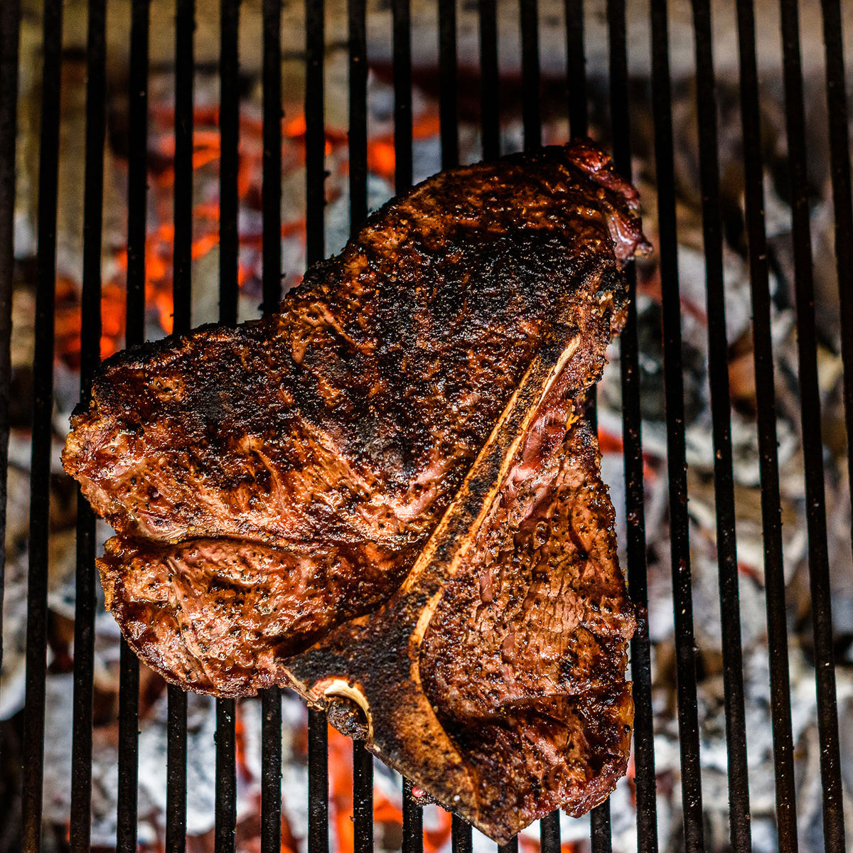 Bison T-Bone Steak – Benjamin Lee Bison